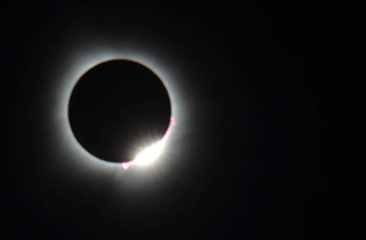 Eclipse Fest/Puppy Safari in Ennis, Texas Eclipse Fest/Puppy Safari in Ennis, Texas